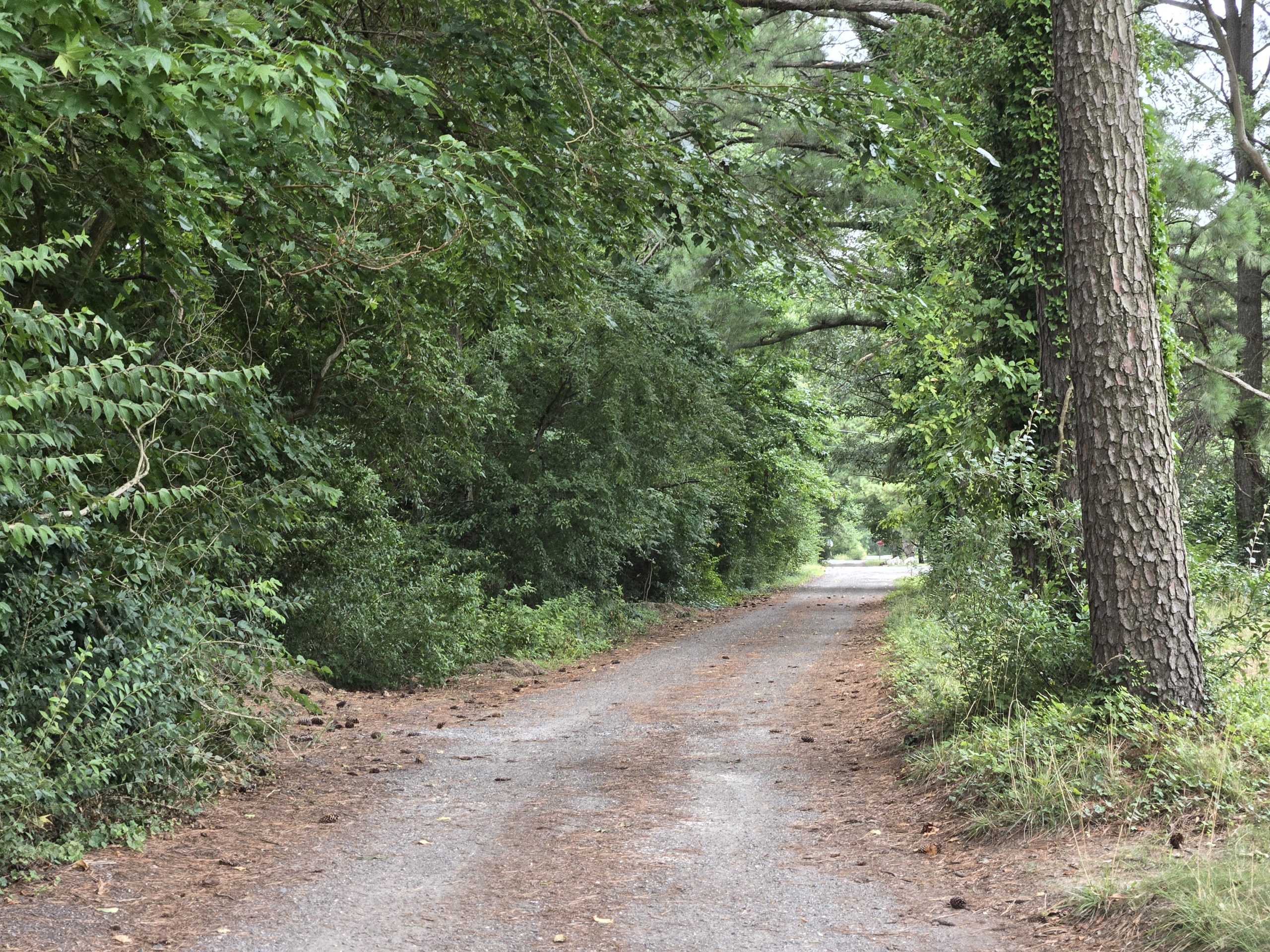 ROB Roads Corporation - Romancoke on the Bay Improvement Association, Inc.